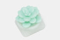 Succulent Keycap – Capsmiths Inc.